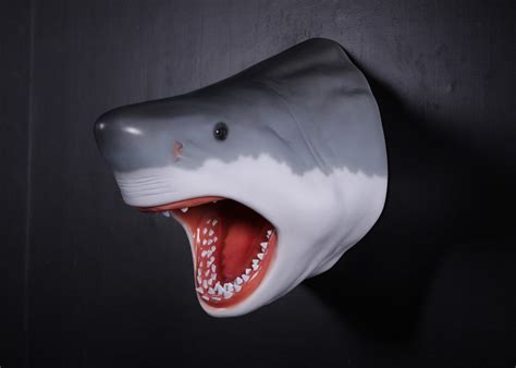 Shark Head Figure 960x1070