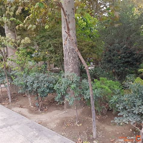 بوستان امیریه تهران همه آنچه قبل از رفتن باید بدانید لست‌سکند