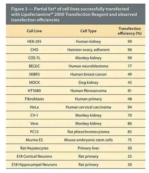 Invitrogen Lipofectamine 2000 Transfection Reagent Biochemical Reagents