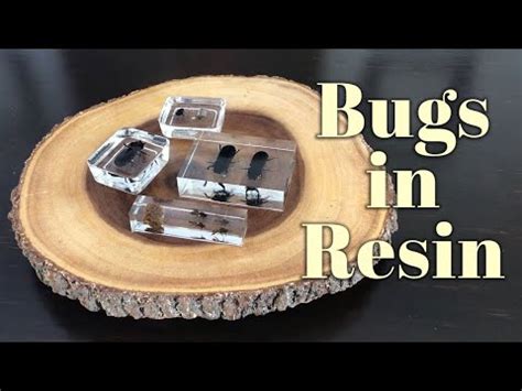 How To Use Resin Molds For Insects