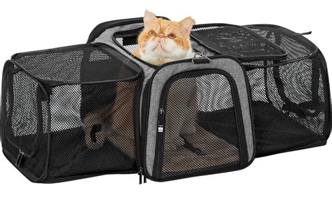 6 Best Cat Carriers For Two Cats In 2025 Reviews And Top Picks Catster