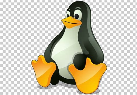 Tux Racer Linux Computer Icons Computer Software PNG Clipart Beak Bird Command Computer