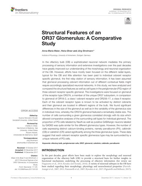 Pdf Structural Features Of An Or37 Glomerulus A Comparative Study