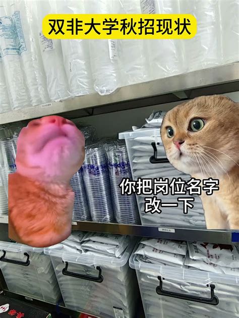 内容过于真实 大学生 秋招 离谱 搞笑 youtube