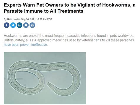Veterinary Parasitology In The News Ncvp National Center For
