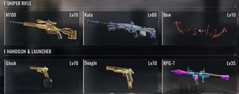 Should I Focus On Getting My Lvl 50 Guns To 70 Or Make All My Guns