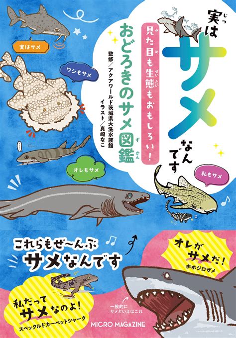 実はサメなんです 見た目も生態もおもしろい！おどろきのサメ図鑑 │ こども学習本編集部