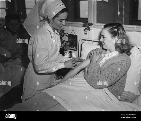 Streptomycin French Hospitals Receive Marshall Plan Streptomycin