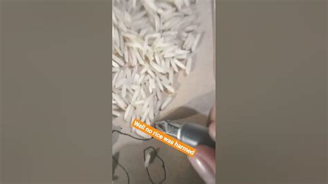 Making The Rice Map Zoha V Logs Youtube