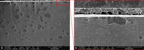 Electron Microscope Scan Of The Subsurface After Erosion Download