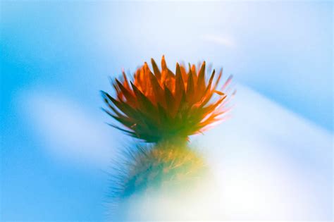 Capillary Technologies Pushing Boundaries In Loyalty And Customer