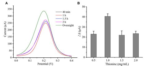 Figure 2 From A Label Free Immunosensor Based On Gold Nanoparticles Thionine For Sensitive