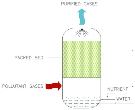 Diagram Of A Biotrickling Filter Own Study Based On 36 Download