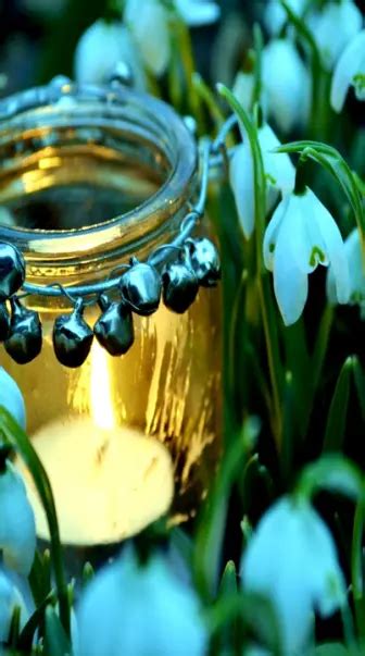 Spring Wallpaper By Venus Download On Zedge™ 43b2