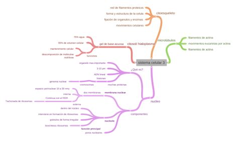 Sistema Celular 3 Coggle Diagram Sistema Celular 3 Coggle Diagram