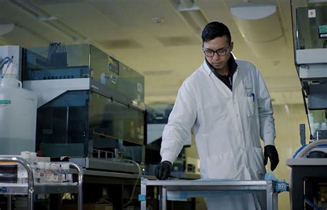 Infinium Global Screening Array 24 Kit Population Scale Genetics