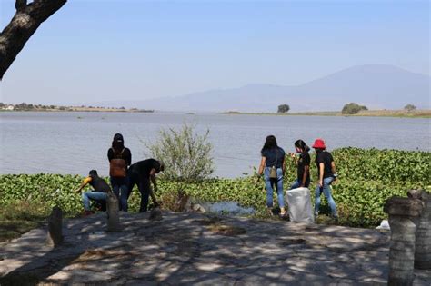 Proyectos De Conservación Acuario Michin Cdmx Proyectos De Conservación Acuario Michin Cdmx