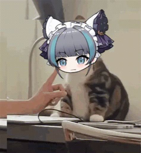 200张柴郡猫猫表情包大放送 ω ฅ喵（上） 哔哩哔哩