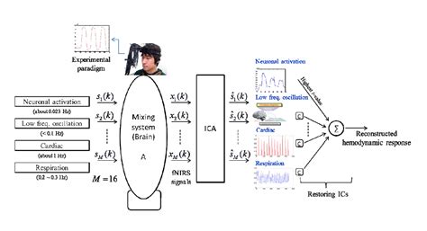 Figure 2 From An Fnirs Based Bci For Mental Arithmetic Task Using Ica Semantic Scholar