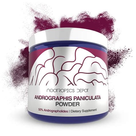 Buy Andrographis Paniculata Powder Andrographis Benefits