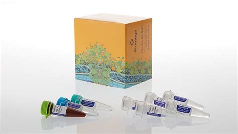 New Promega Kit Enables European Forensic Labs To Solve Challenging