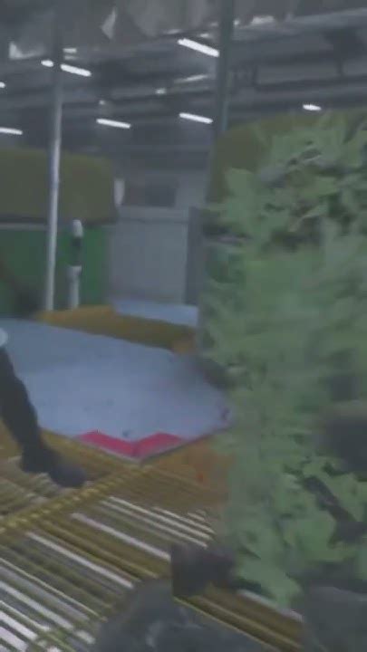 Cod Mw2 Crazy Oni Finishing Move Killstreak Ps5 Multiplayer Youtube