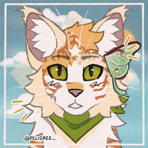 Felidaze S Cool Cat Creator Artofit