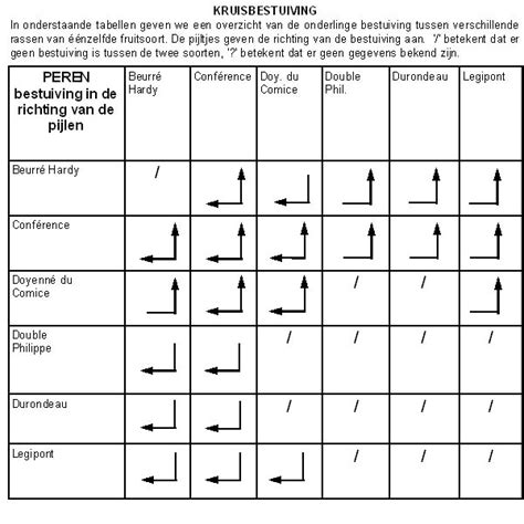 Peer Doyenne Du Comice