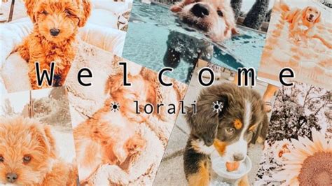 𝙻𝚘𝚛𝚊𝚕𝚒 Aestheticlorali Profile Pinterest