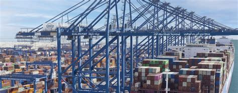 Csp Abu Dhabi Terminal Joins Portchain Connect Network Container News