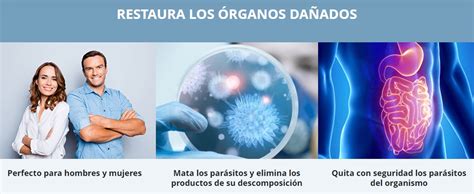 Parazax Complex Precio Farmacias Opiniones Negativas Foro Efectos