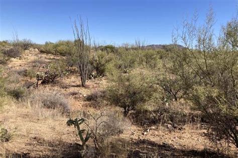 16223 S Pixie Pl S 26 Tucson Az 85736 Mls 22404903 Redfin