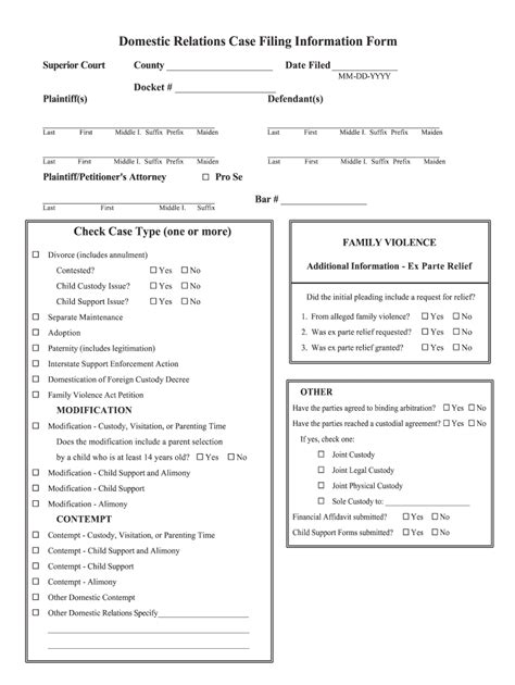 Domestic Relations Case Final Disposition Form Georgia Fill Out Sign