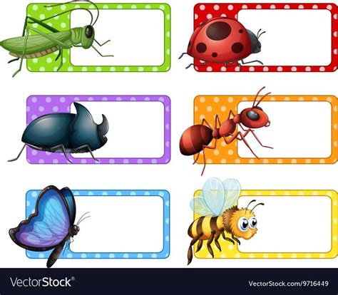 Insect Label Templates For Preschool Classroom