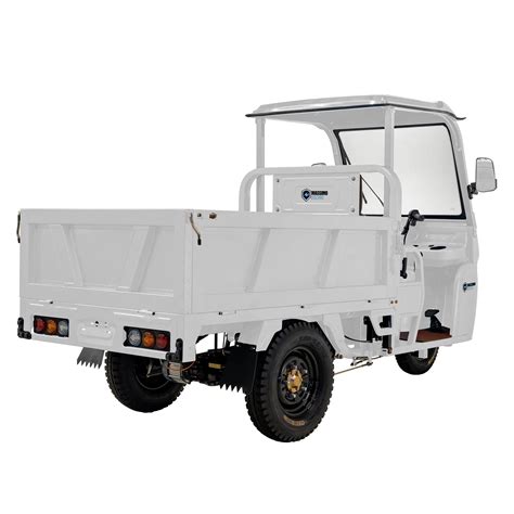 Massimo Mgc Cargo Max Electric Utility E Trike Txpowersports