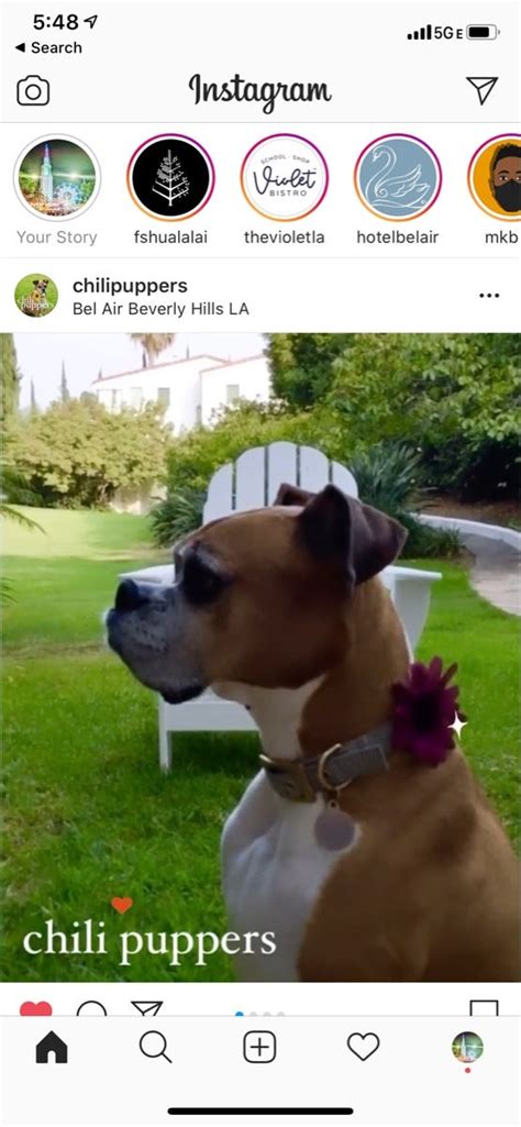 Chris Hamilton Medium