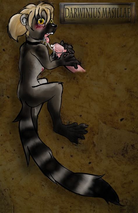 Rule 34 1girls Darwinius Masillae Female Fur Furry Furry Only Handjob