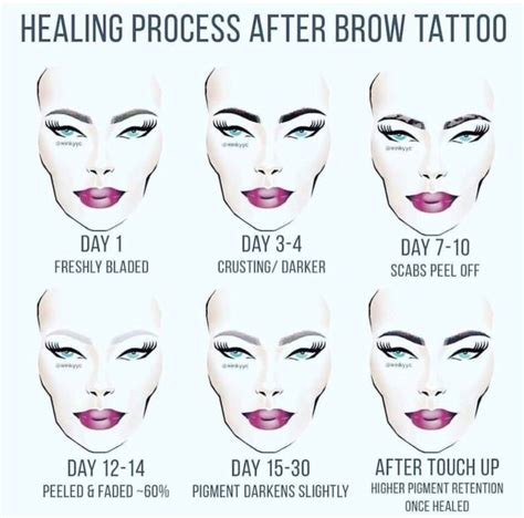 Pin By For Ambitious Introverts® On Microblading Eyebrows Permanent