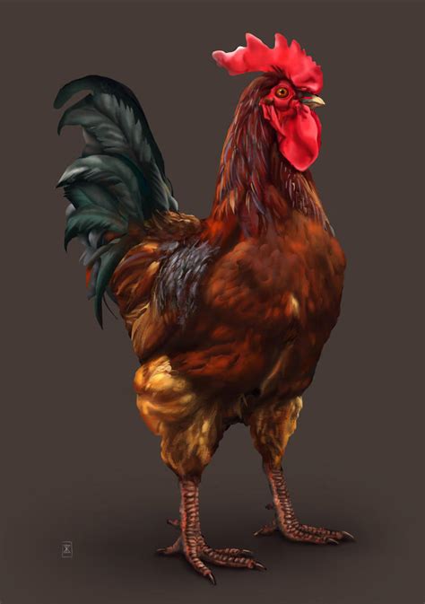 Rooster By Ashiria On Deviantart