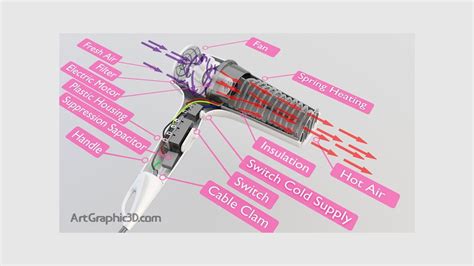 Hair Dryer Inside Diagram 3d Model