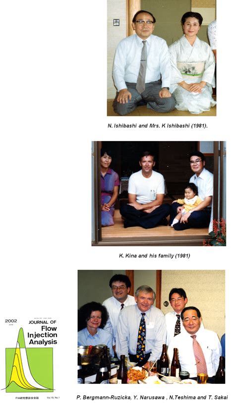 Flow Injection Tutorial