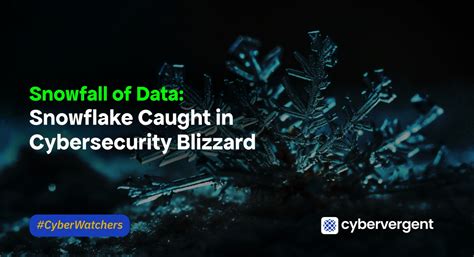 Snowfall Of Data Snowflake Caught In Cybersecurity Blizzard