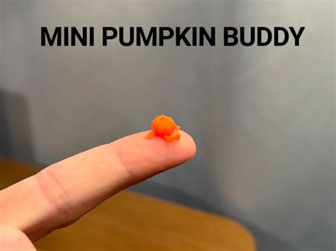 Mini Pumpkin Buddy By Fifindr Makerworld