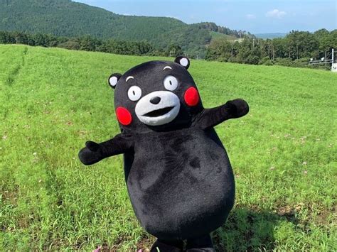 Pin By Jessica Bookworm On Kumamon Cute Characters Disney Characters