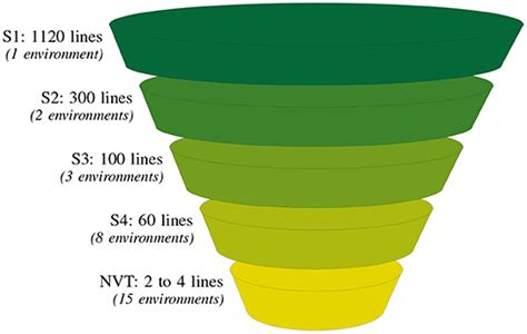 Asreml R Spatial Analysis Fileslasopa