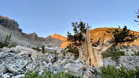Great Basin National Park Foundation Baker Nv