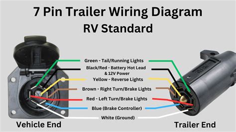 7 Pin Trailer Plug Wiring Diagram For Truck Side Explained