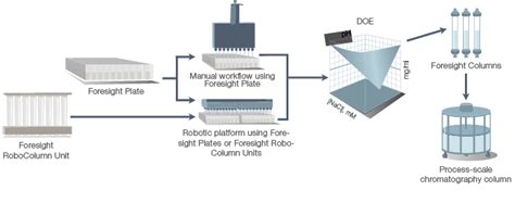 The Process Of Resin Screening Bio Radiations