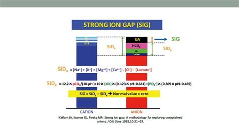Interpretasi Analisa Gas Darah Agd Dengan Pendekatan Stewart Pdf