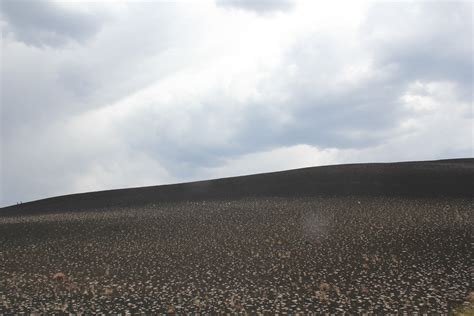 Pictures From The Road Trip Chris Utterback Yav